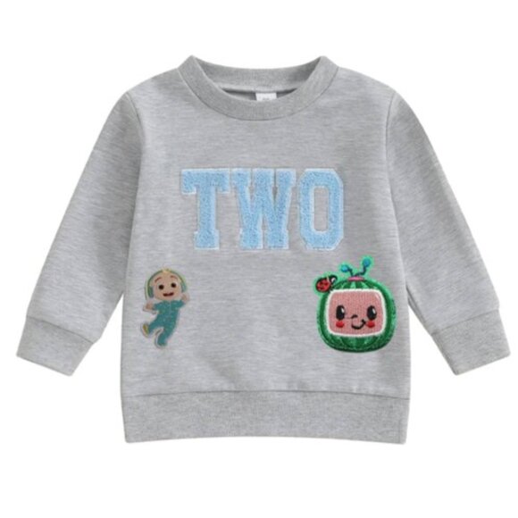 boutique | Shirts & Tops | Cocomelon Sweater Second Birthday Long ...